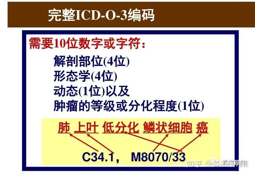 重疾险实务 | ICD-0-3与世界卫生组织国际疾病编码 - 知乎