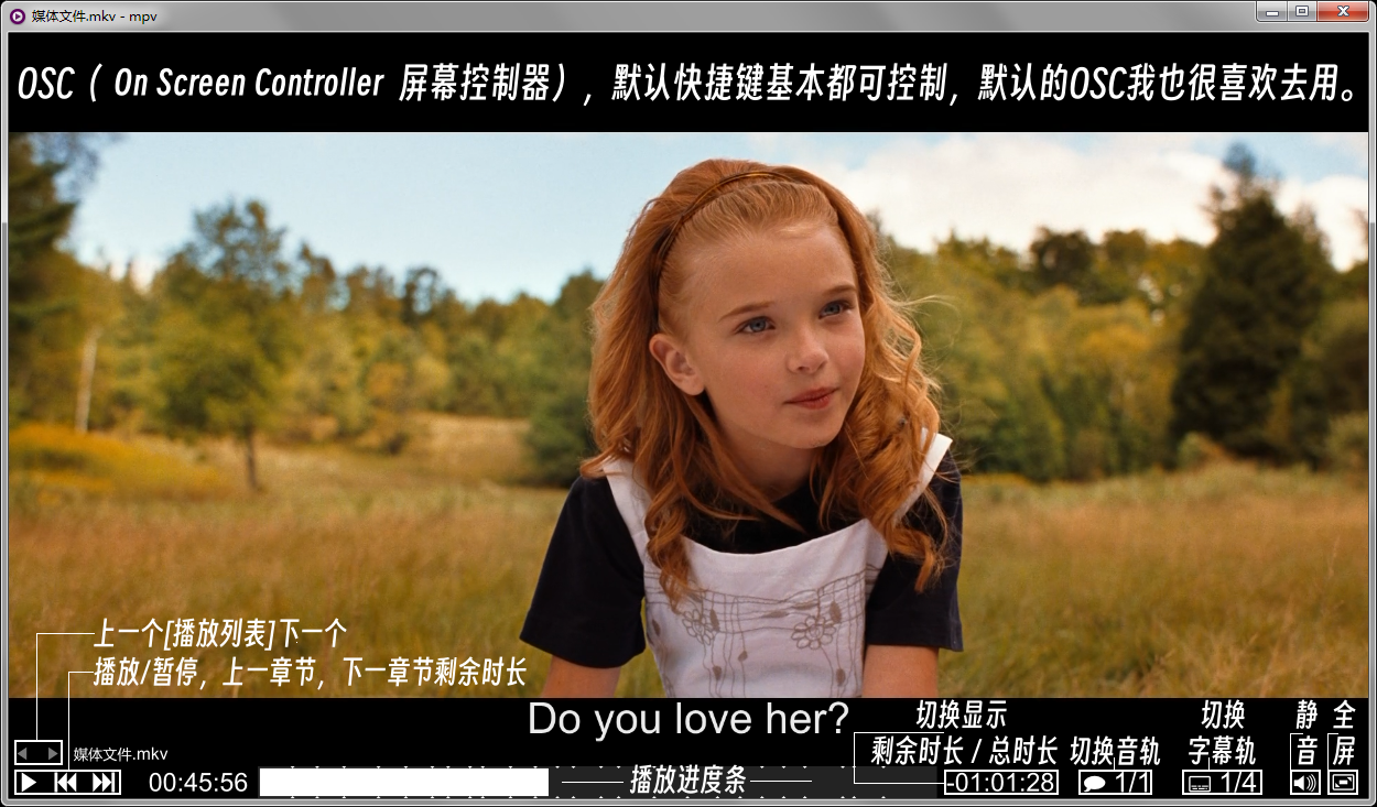 全平台最强播放器mpv！祖母级入门帮扶教学 - 知乎