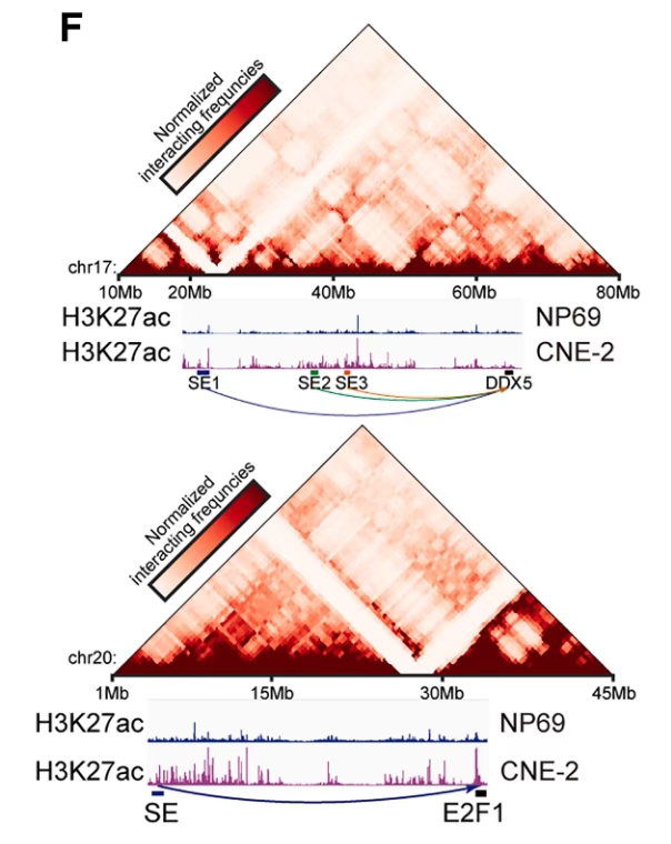 Hi-C：三维表观基因组学揭示DNA-DNA相互作用 - 知乎