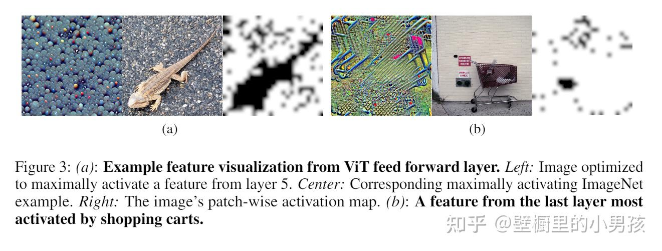 WHAT DO VISION TRANSFORMERS LEARN A VISUAL EXPLORATION - 知乎