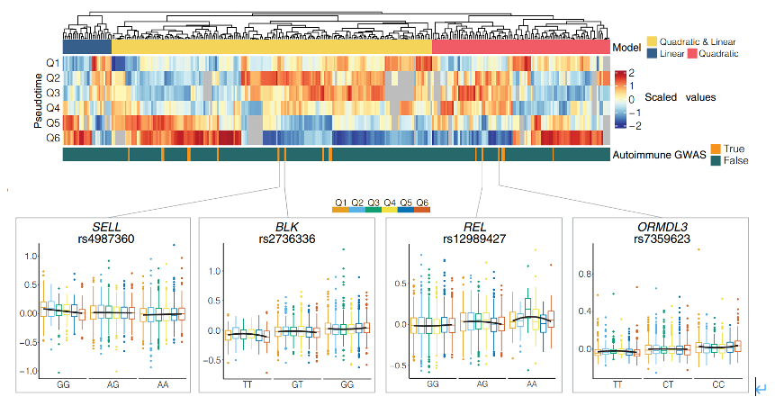 博奥晶典开发大样本量细胞类型特异性eQTL分析方案 - 知乎