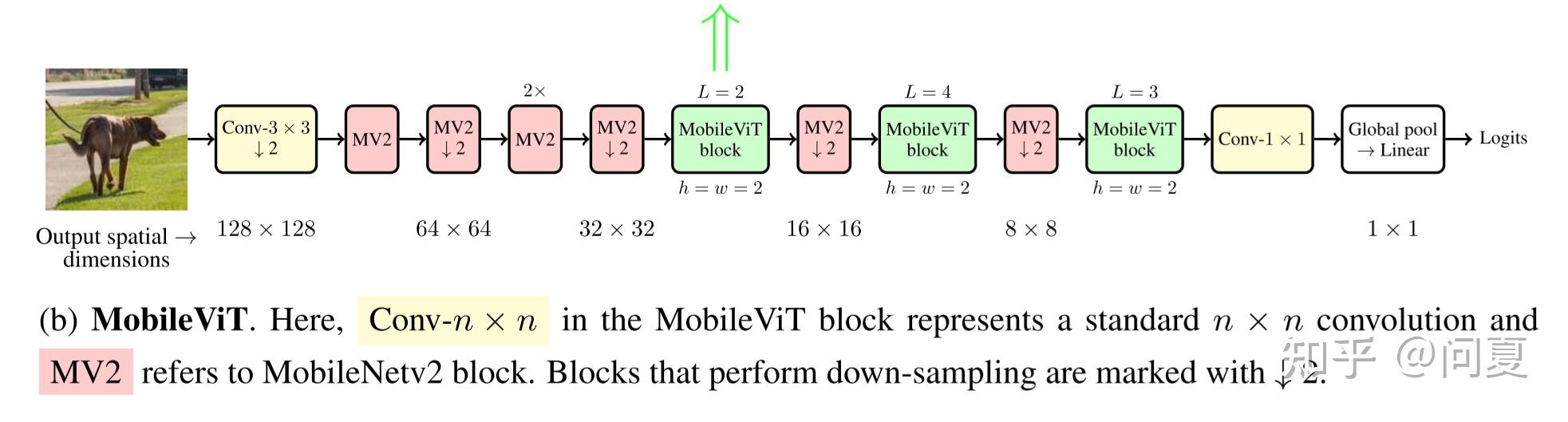 MobileViT-ICLR2022：通用的轻量级ViT - 知乎