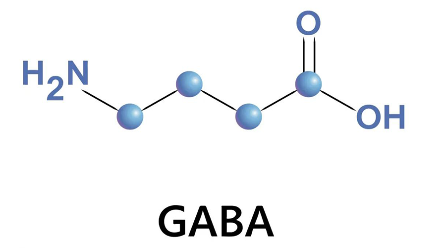 什么是γ-氨基丁酸（GABA）？有什么作用？ - 知乎