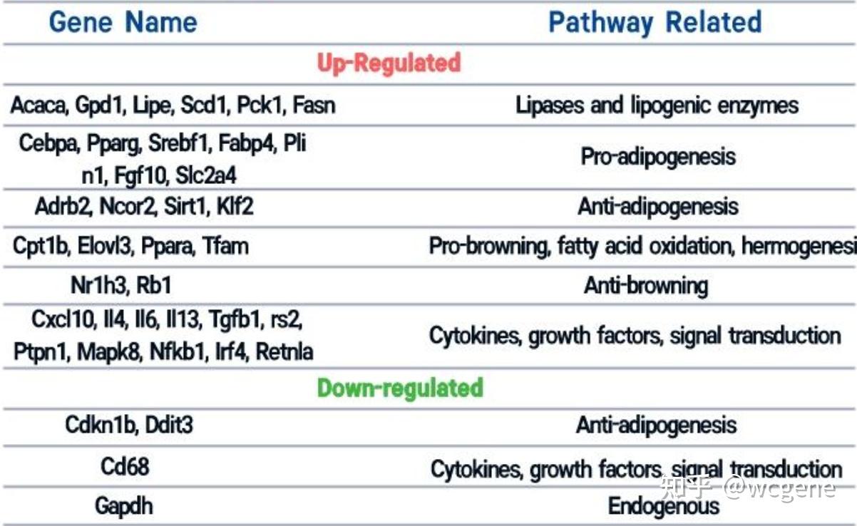 中药提取物刺激细胞做个(PCR Array+WB)发5分杂志 - 知乎