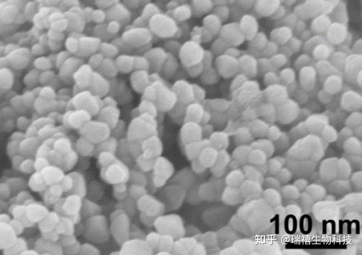 四氧化三铁Fe3O4修饰氧化物/金属骨架/标记荧光染料/β-环糊精 - 知乎