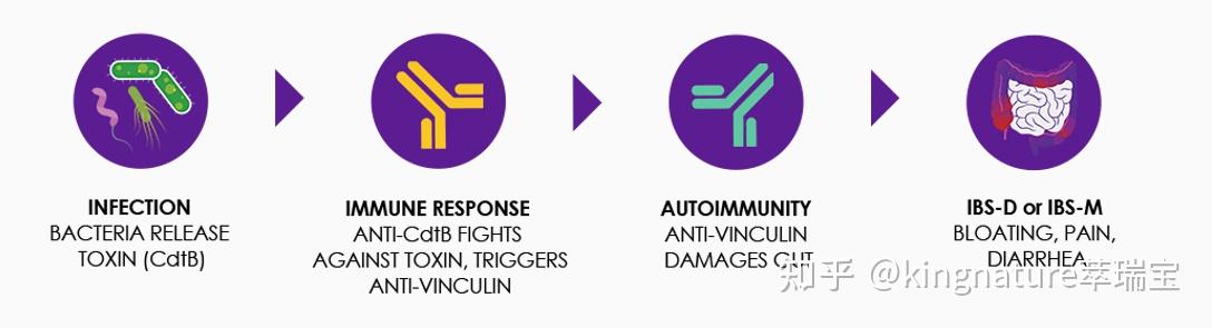 当心！急性肠胃炎后的PI - IBS - 知乎