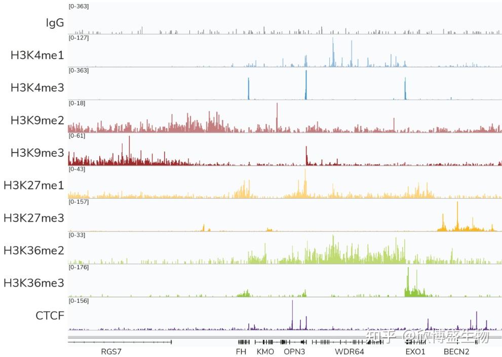 从ChIP-seq到CUT&RUN和CUT&Taq，哪种染色质分析法更适用您的实验？ - 知乎