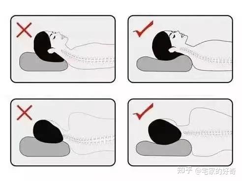 2023年枕头推荐！用过10个枕头以后，我终于知道怎么选！乳胶枕/记忆棉枕哪个好？睡眠博士/7c/亚朵/莫依莱