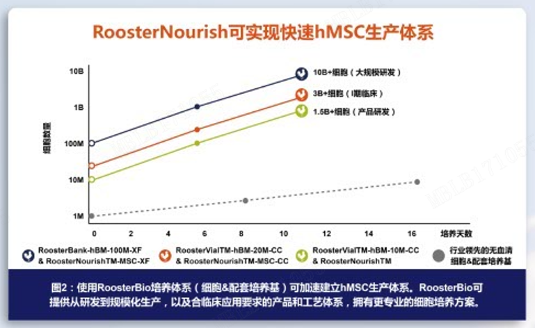 RoosterBio间充质干细胞培养基：无异源成分且节本高效的hMSCs培养之选 - 知乎