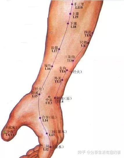 失眠的人，虎口有个点特别疼！用力掐就睡好了 - 知乎
