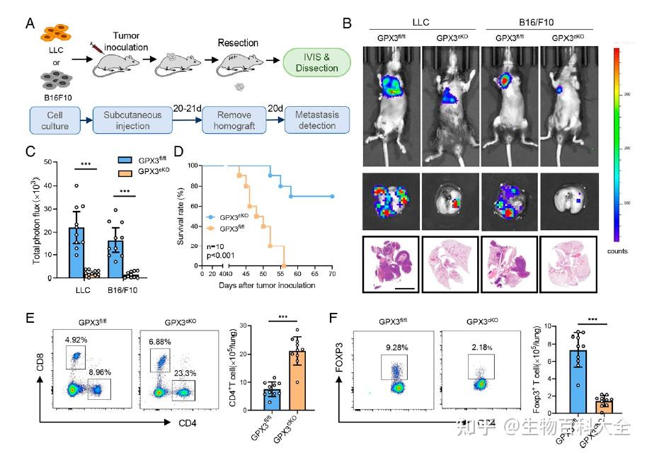 单细胞项目文章|肿瘤极化GPX3+ AT2肺上皮细胞促进转移前生态位形成 - 知乎