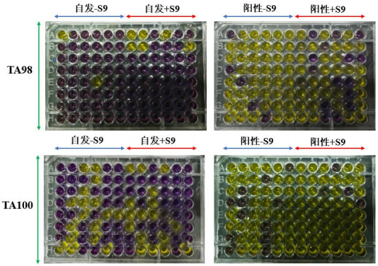 微量波动Ames试验在遗传毒理研究中的应用 - 知乎
