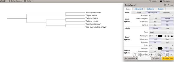 物种之间进化树构建 - 知乎