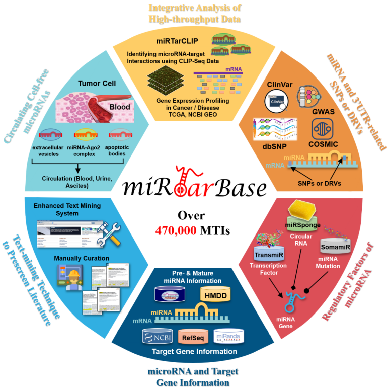 miRTarBase：miRNA-靶标互作数据库 - 知乎