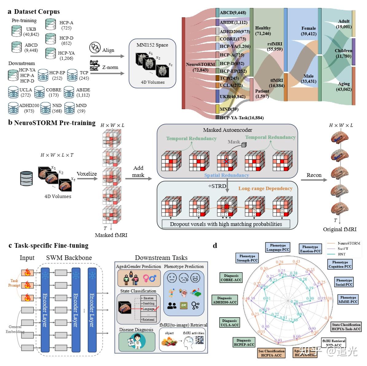 港中文与麻省总医院联合推出一站式fMRI深度学习基础模型平台NeuroSTORM - 知乎