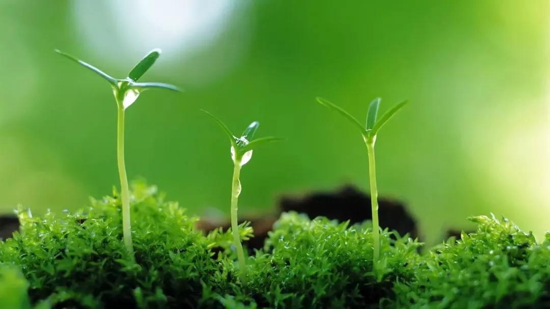 中药性味与归经 - 知乎