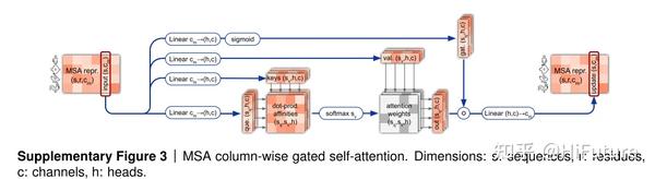 AlphaFold2 讲解（1） - 知乎