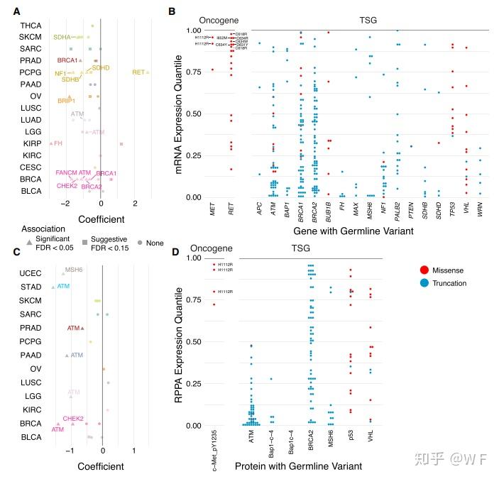 TCGA-胚系致病突变 - 知乎