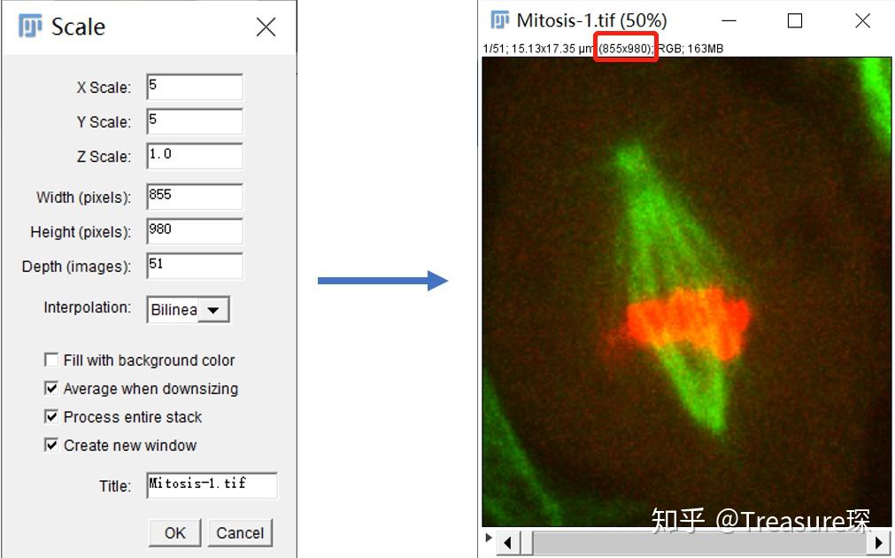 ImageJ实用教程——视频剪辑制作（基础功能篇） - 知乎