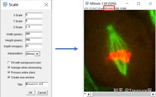 ImageJ imagej
