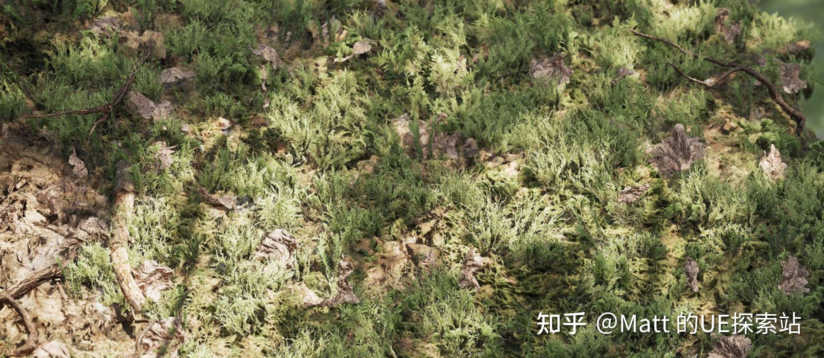 虚幻引擎UE5｜PCG程序化生成（优化）| [UE5.6.1更新功能] - GPU草和微散射 - 知乎