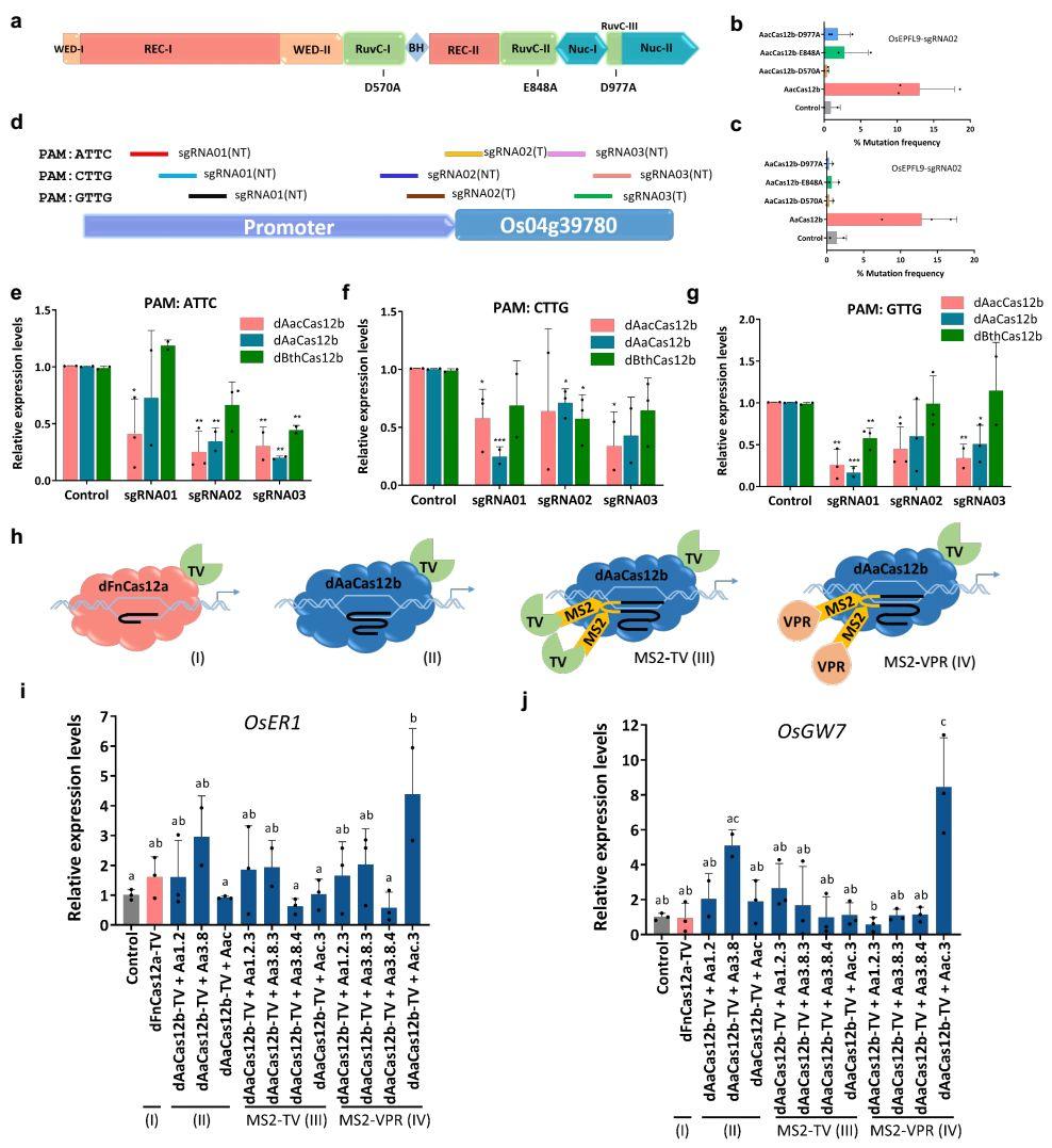 Nature Plants | 植物基因组定向编辑新系统：CRISPR-Cas12b - 知乎