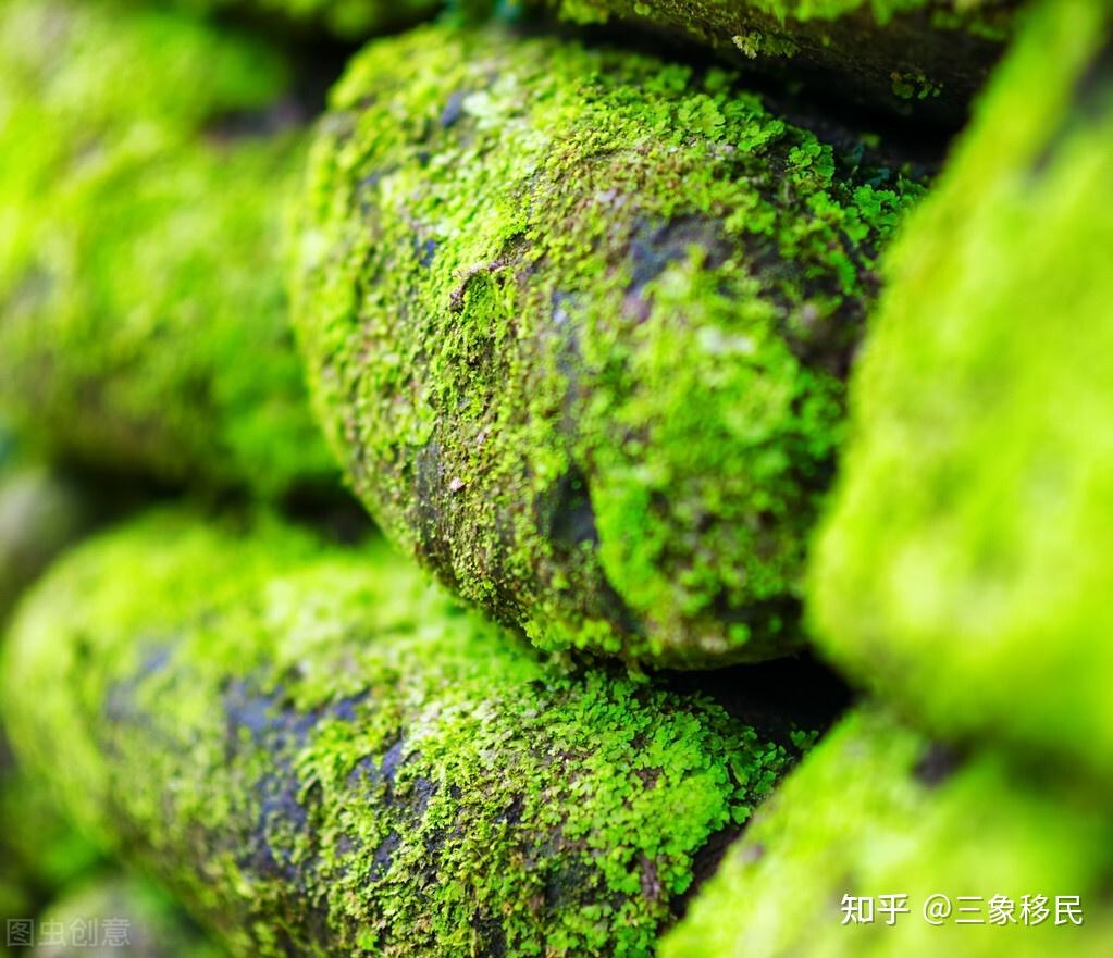 希腊人如何过新年？有哪些习俗？【三象移民】 - 知乎