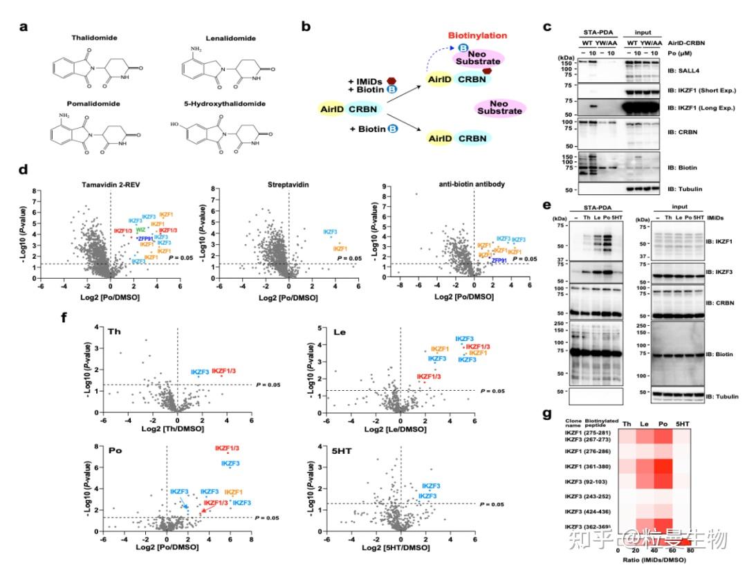 文献解读｜AirID：蛋白质相互作用研究的新篇章 - 知乎