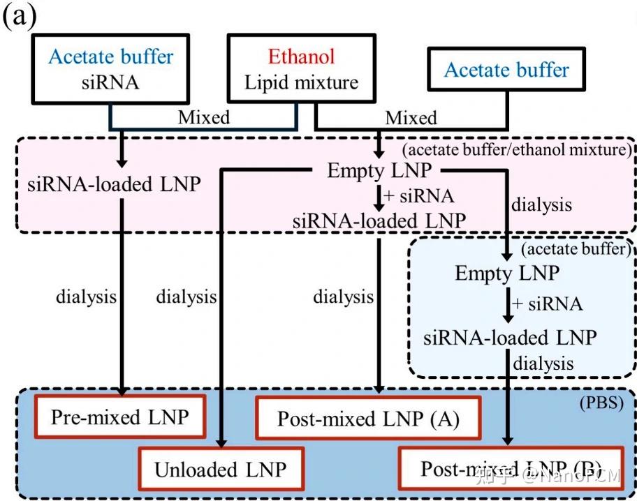 JCR | 不同siRNA混合条件对siRNA LNP结构的影响 - 知乎