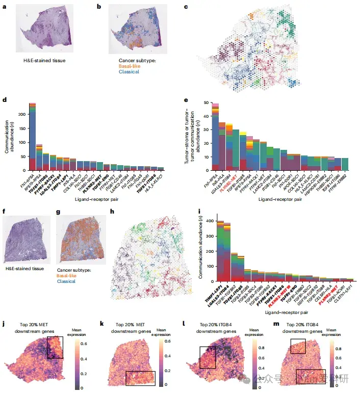 CellNEST让空间转录组数据开口说话，揭示细胞通讯的“多米诺骨牌”！IF=36!《Nature Methods》 - 知乎
