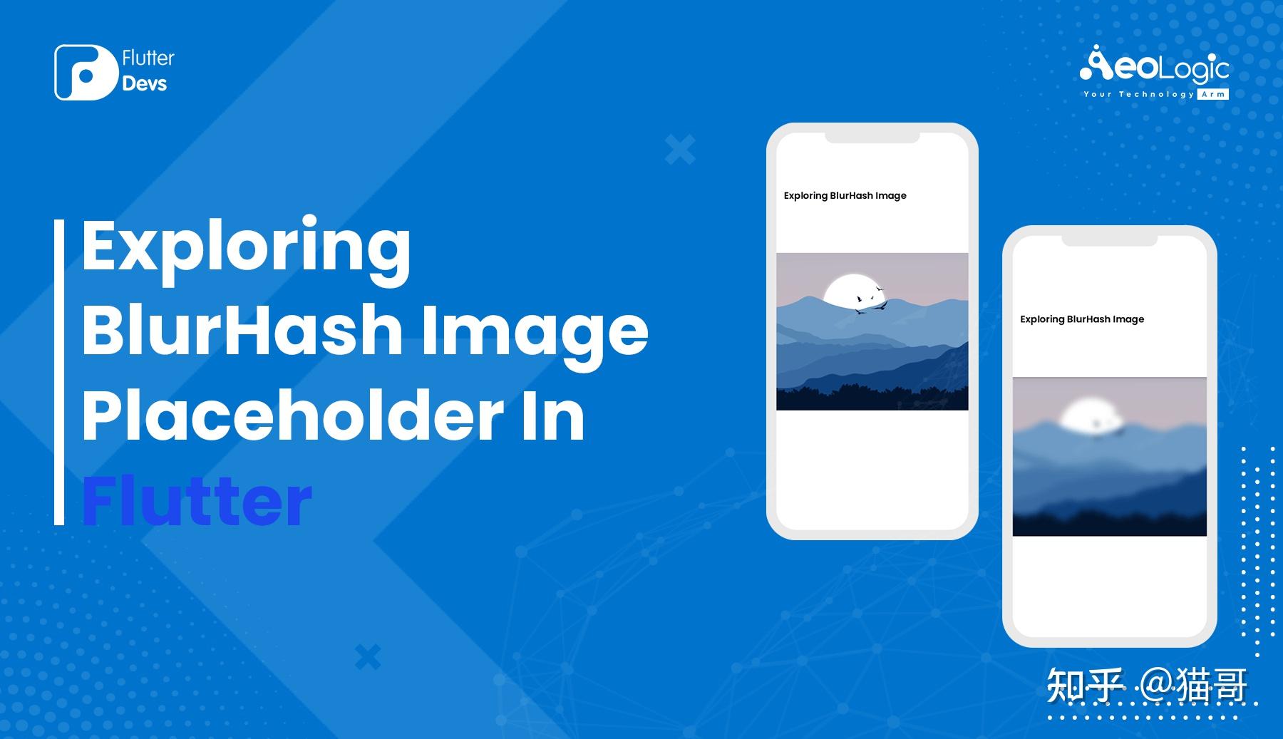Flutter 采用 Blurhash 算法实现图像缩略图 知乎