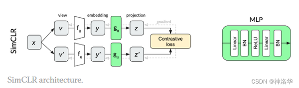 李沐论文精读系列三：MoCo、对比学习综述（MoCov1/v2/v3、SimCLR v1/v2、DINO等） - 知乎