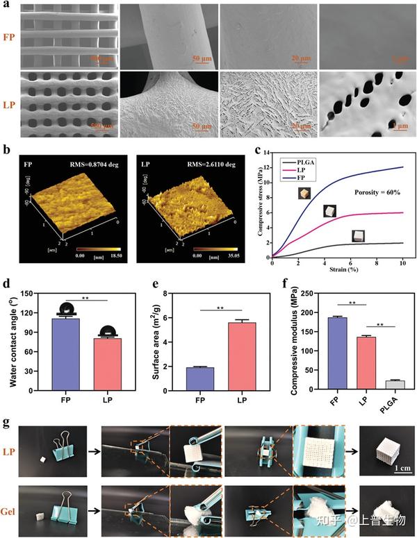 大连化物所周光远教授团队利用SUNP BP11低温沉积3D打印含多级孔隙结构且可促进生物矿化的聚芳醚酮骨组织工程支架 - 知乎