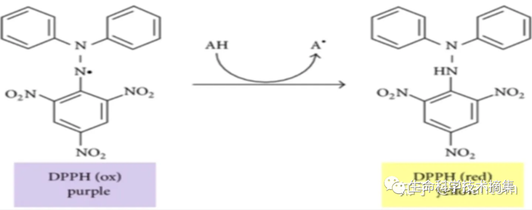体外清除自由基实验protocol-ABTS和DPPH法 - 知乎