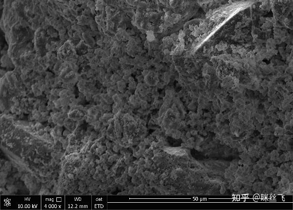 使用ImageJ给SEM图像加标尺！ - 知乎