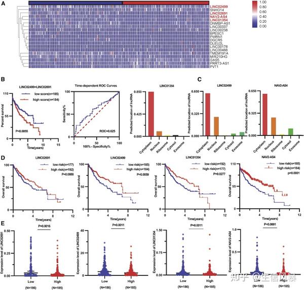 Myc相关ceRNA网络的构建揭示了肝细胞癌的预后特征 - 知乎