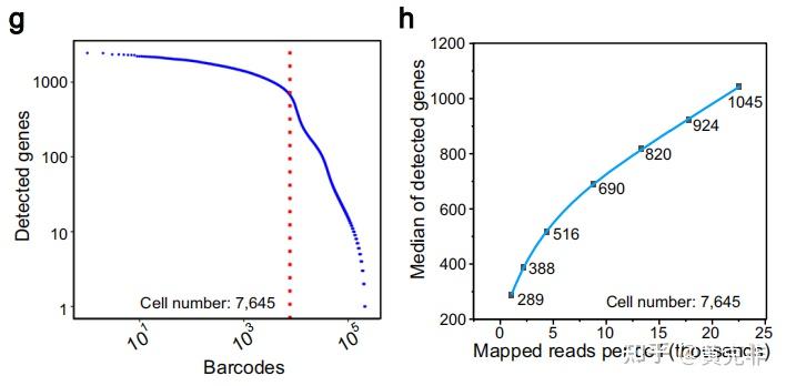 单细胞测序技术-smRandom-seq - 知乎