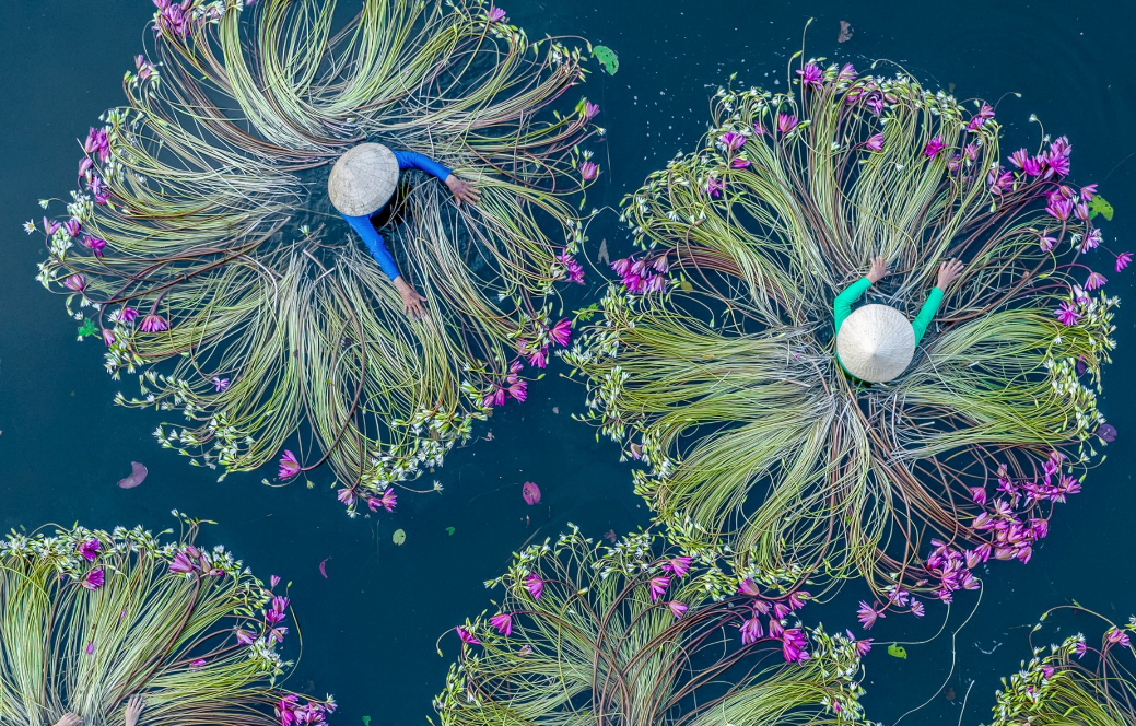 群里问: PSM-DID到底怎么匹配? 每年还是1年, TOP5文手把手实操全揭秘, 附数据和代码. - 知乎