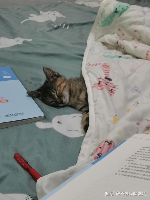 请大数据把我推给喜欢上班摸鱼的友友 知乎