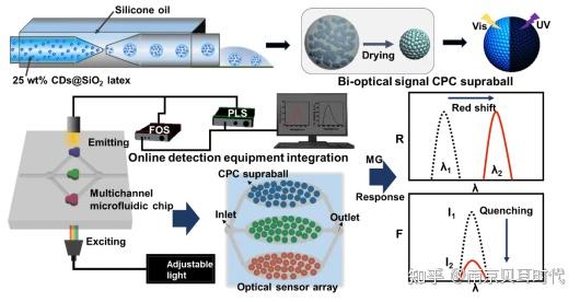 南工大陈苏教授、李晴副教授等报道了碳点@SiO2光子晶体粒子工程化及微流控传感新应用 - 知乎