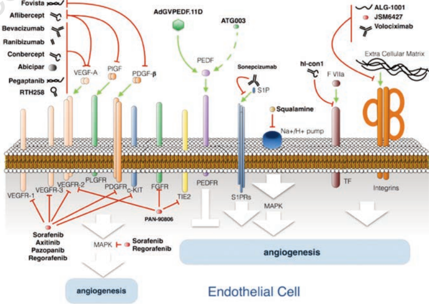 眼科新药赛道火热，VEGF之后谁能成为新的“吸睛”靶点？ - 知乎