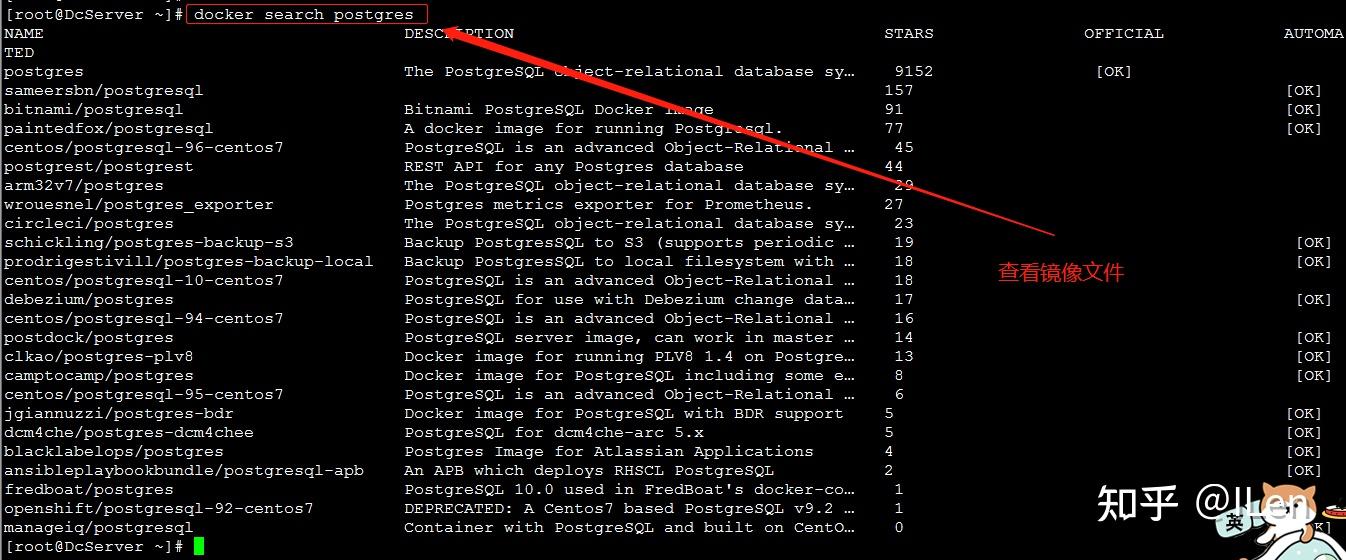 Docker 安装 Postgresql 知乎