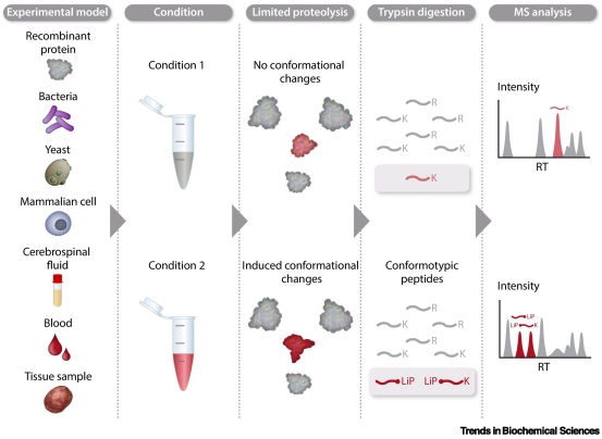 LiP-MS技术的优势与局限性 - 知乎