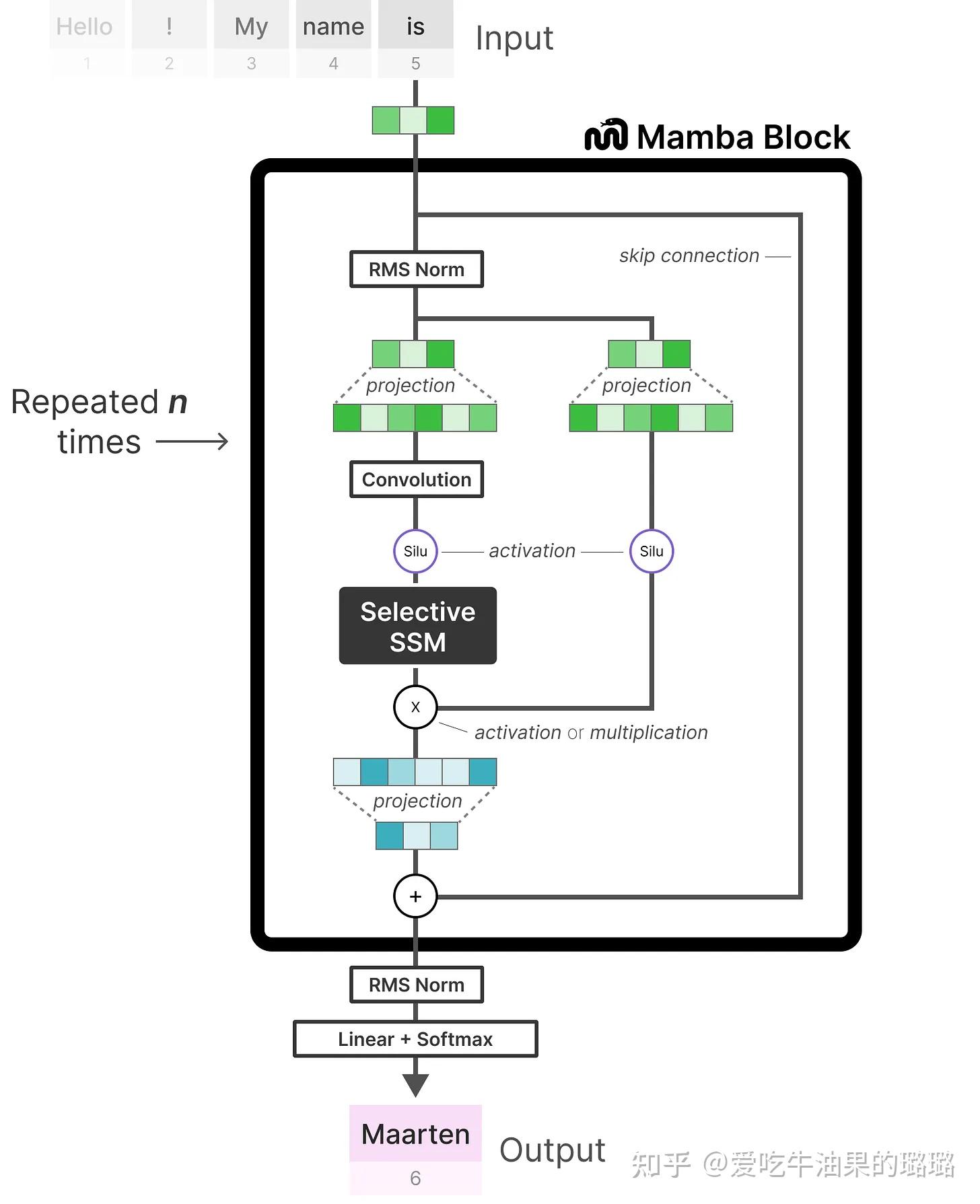 手把手教你认识学会Mamba-(祝各位蛇来运转) - 知乎