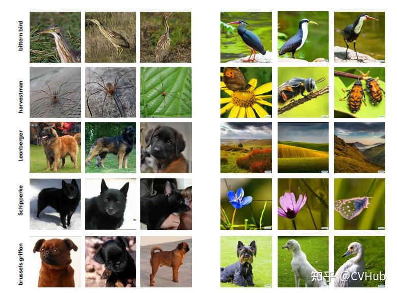 Google Brain 新作 | diffusion合成数据集来提升ImageNet分类效果 - 知乎