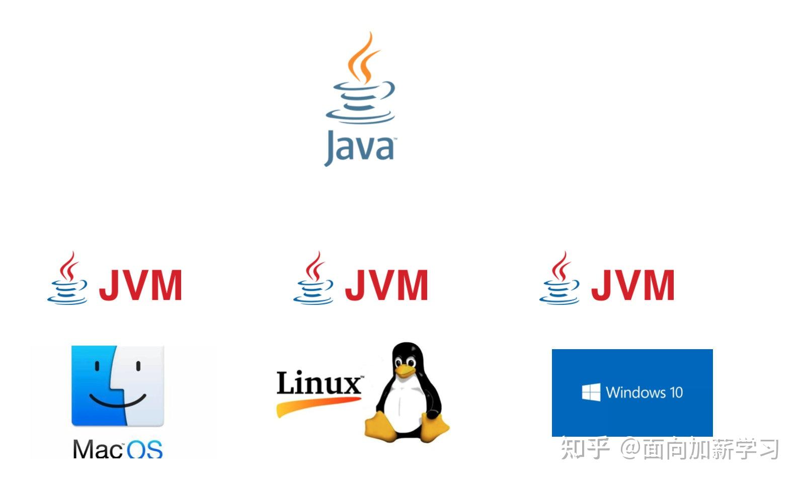 底层逻辑-理解Go语言的本质 - 知乎