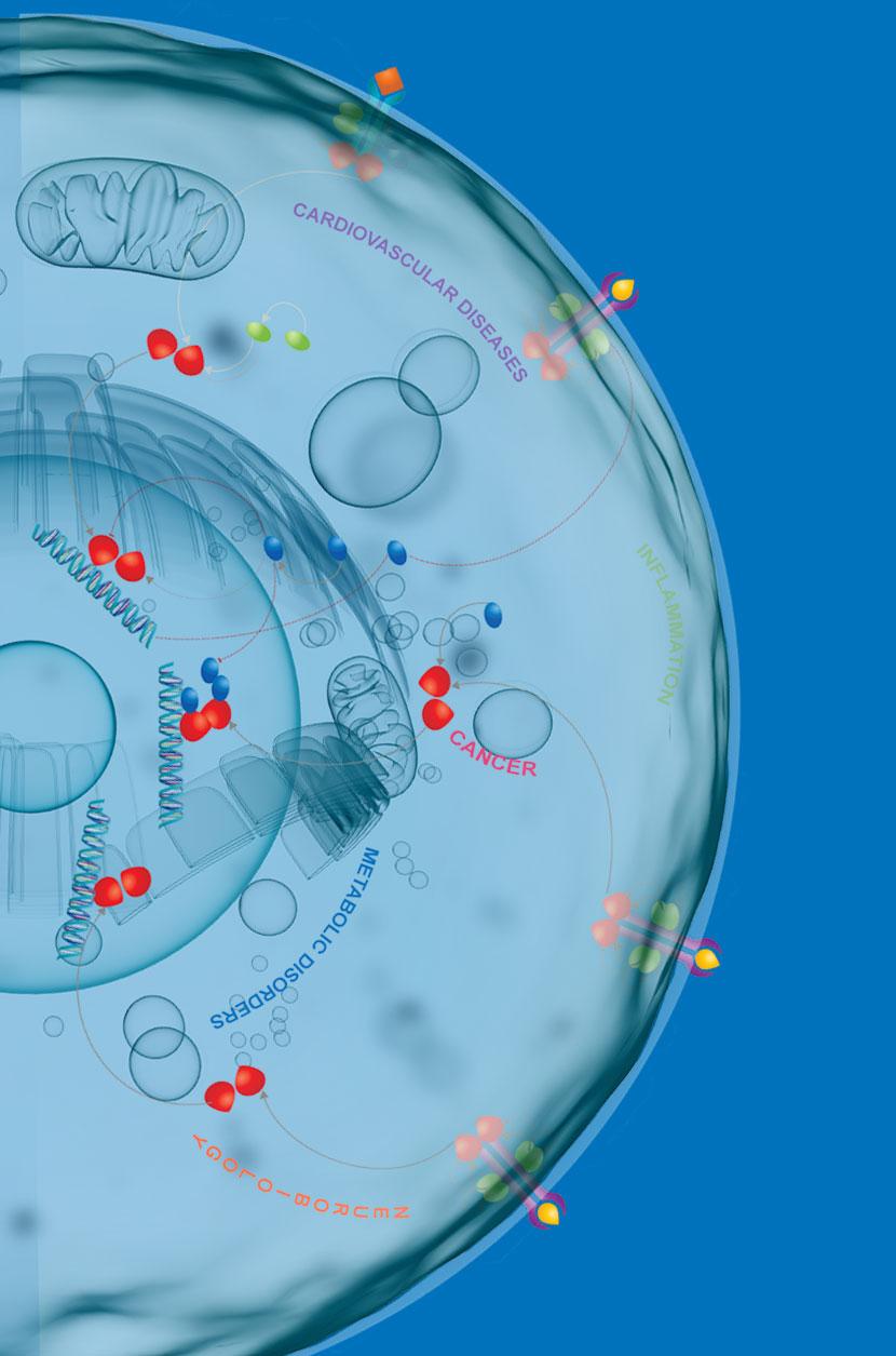 什么是激酶 (Kinase)? What is Kinase? - 知乎