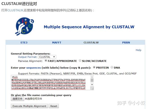 蛋白序列相似度比对 - 知乎
