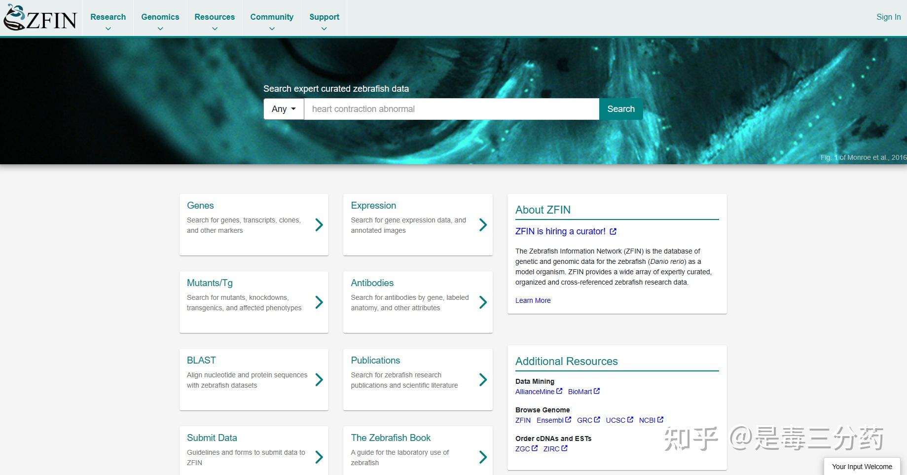 科研基础——鱼类（比如斑马鱼）疾病靶点数据库有哪些？ - 知乎