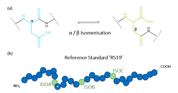 方案解读 — 看高阶玩家如何拿捏治疗性肽中Asp异构体 - 知乎